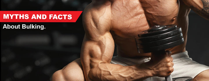Myths and facts about Bulking - BigMuscles Nutrition